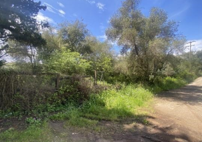 Αγροτεμάχιο 4.163 τ.μ. σε Γουβιά σε Πλειστηριασμό | Landea.gr | 522667